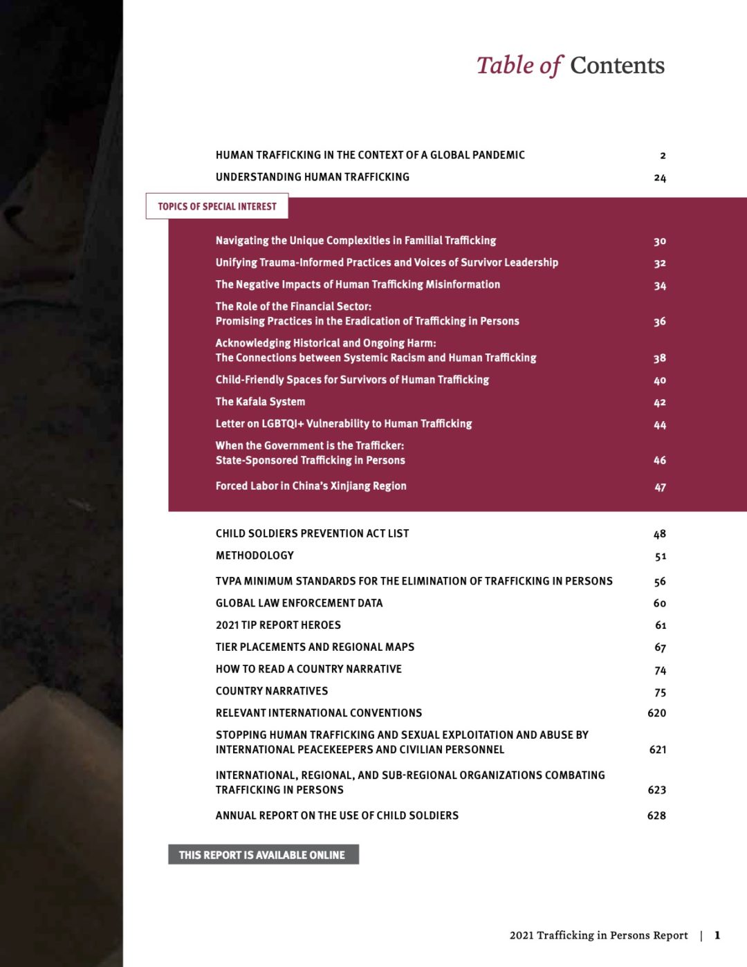 US STATE GOVERNMENT TIP REPORT 2021 | Journal Christus Liberat